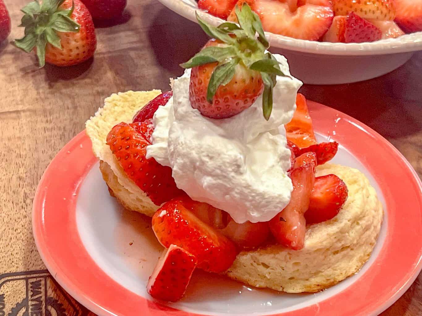 Homemade Strawberry Shortcake with Vanilla Whipped Cream | Syrup and ...