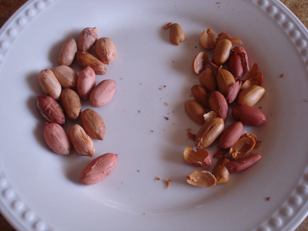 Cotton and Peanuts (Recipe: Parched Peanuts) | Syrup and Biscuits