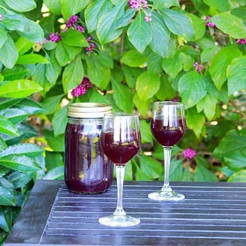 Blackberry Cordial | Syrup and Biscuits