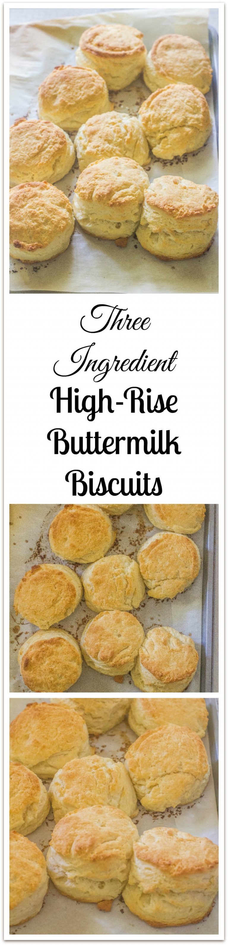 How to make Buttermilk Biscuits | Syrup and Biscuits
